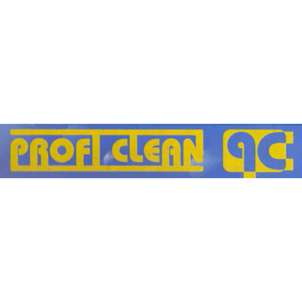 Metlica brisača PROFI CLEAN 550
